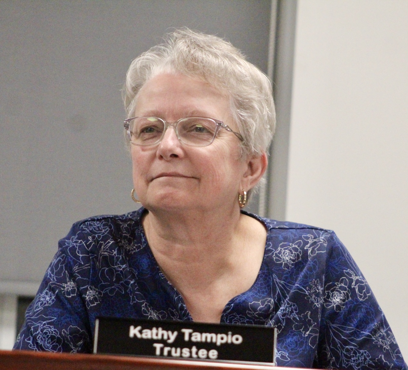 Tampio credits county for senior tax exemption | News, Sports, Jobs - Observer Today